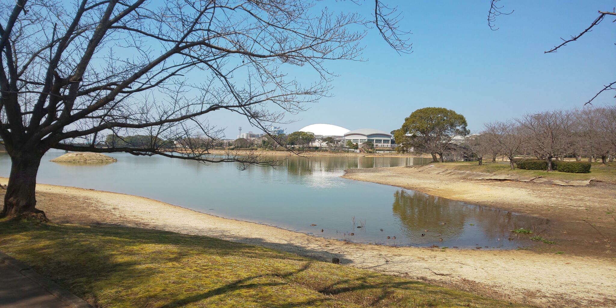 日本の製造業が実現する地方創生を徹底解説;地域活性化に向けたビジョンも提案 - TechSuite AI Blog