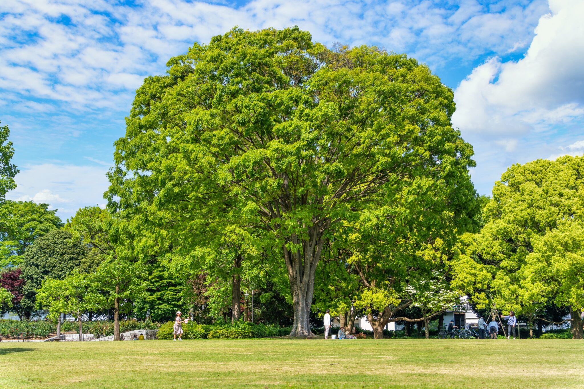 日本の建設業が実現する地方創生を徹底解説;地域活性化に向けたビジョンも提案 - TechSuite AI Blog